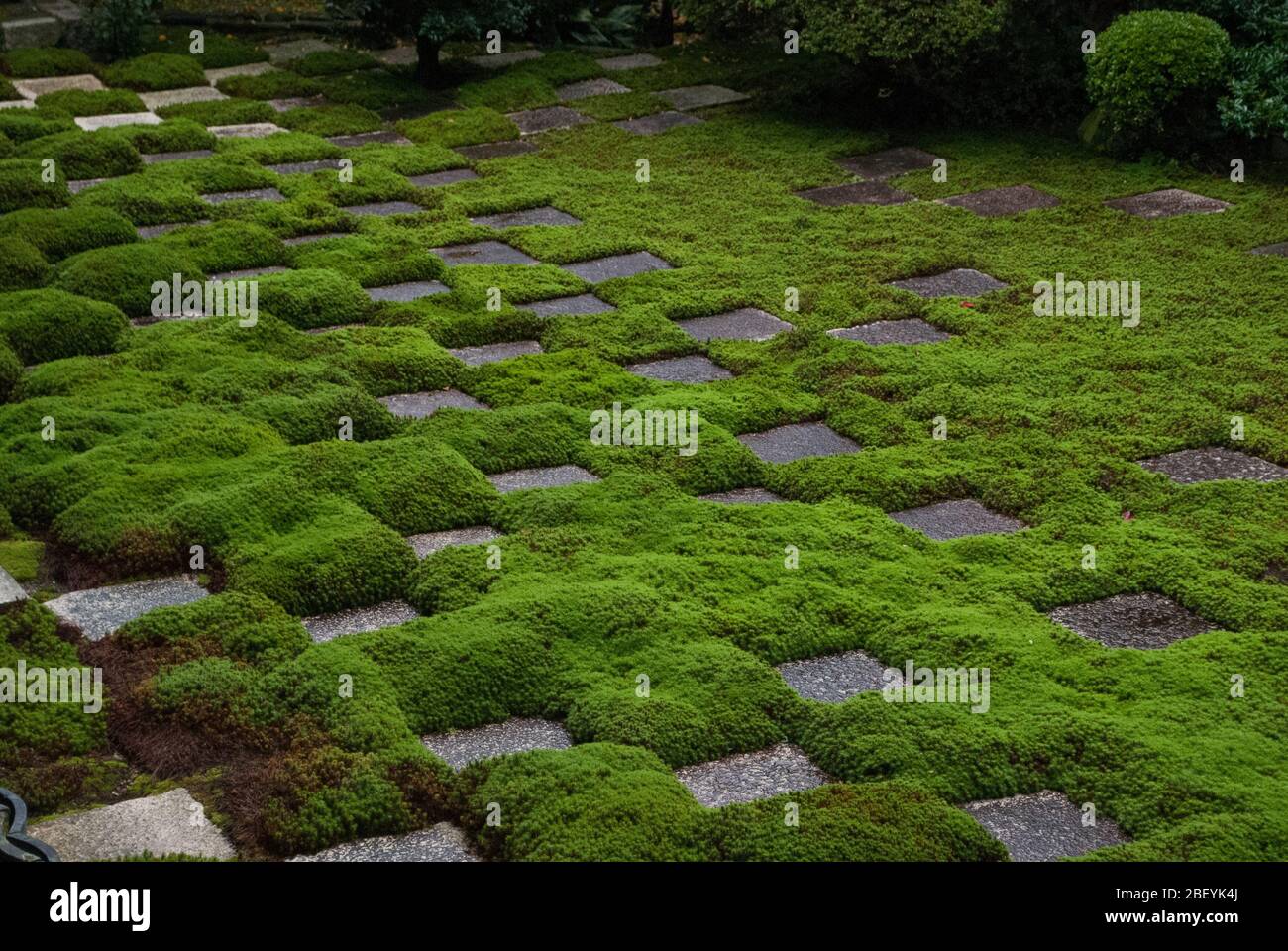 Modern Zen Moss Garden 15th Century Tōfuku-ji Temple, 15-Chōme 778 ...