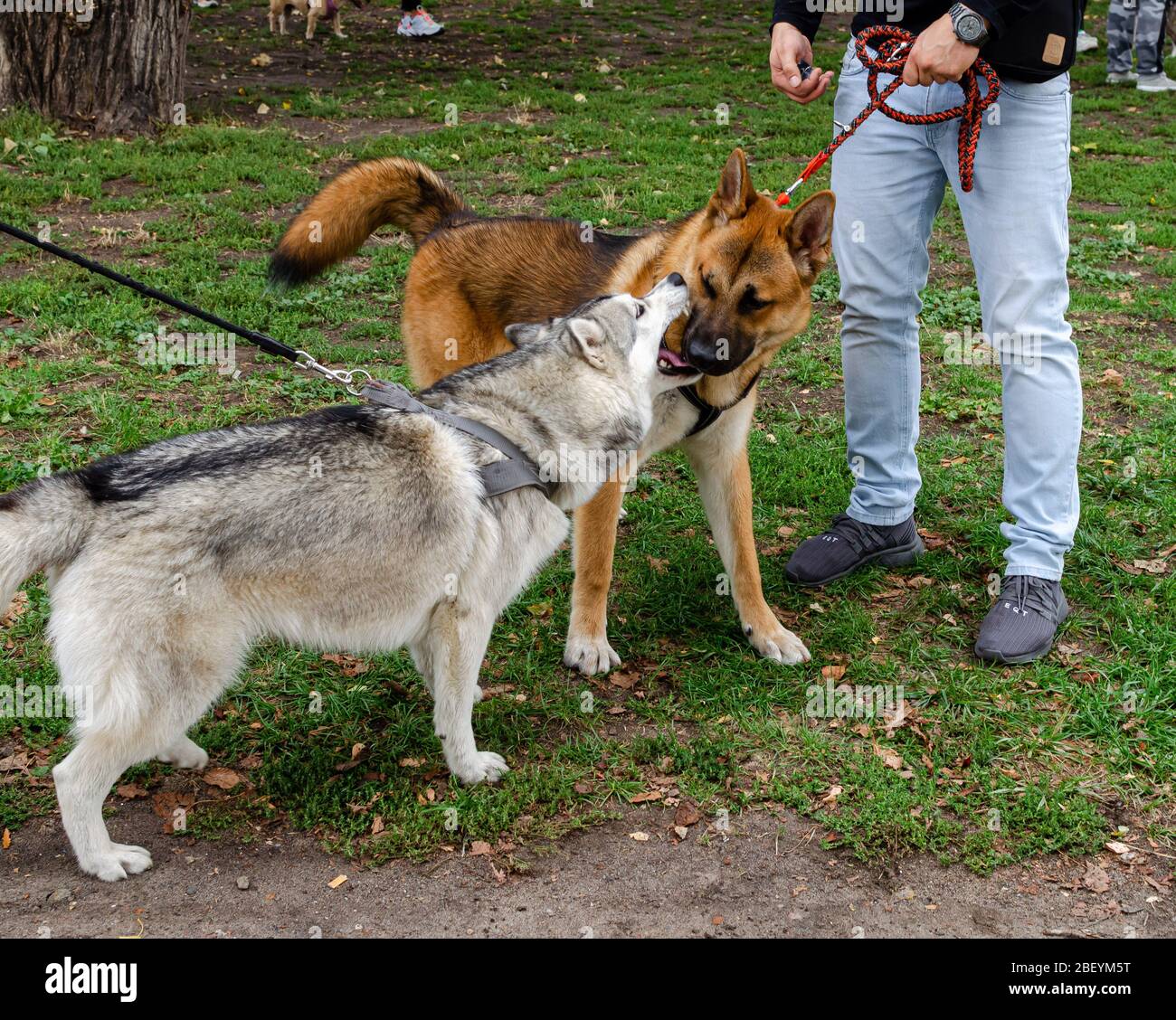8 try hi-res stock photography and images - Alamy