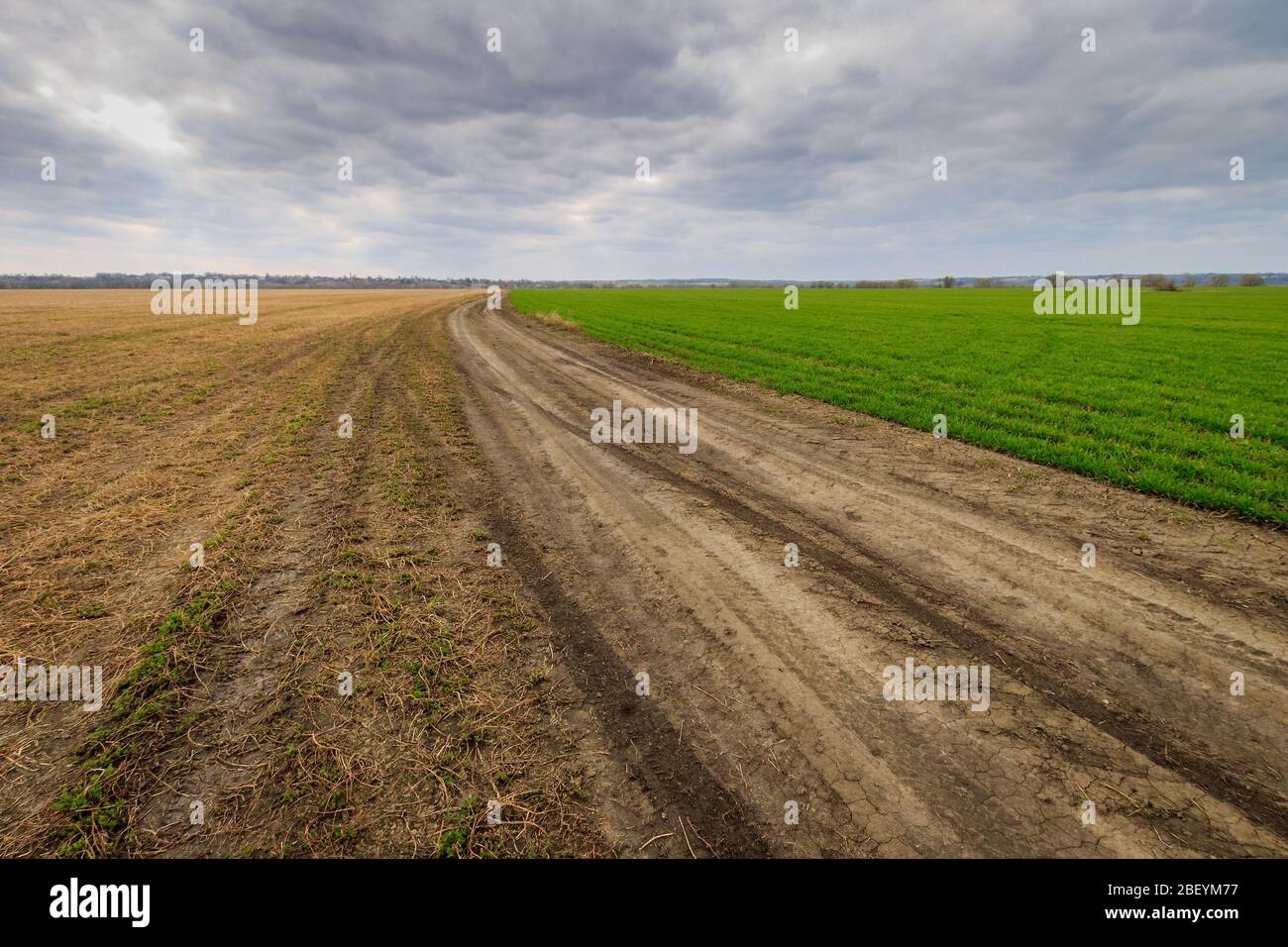Landscape with first grass in spring field at cloudy day and country ...