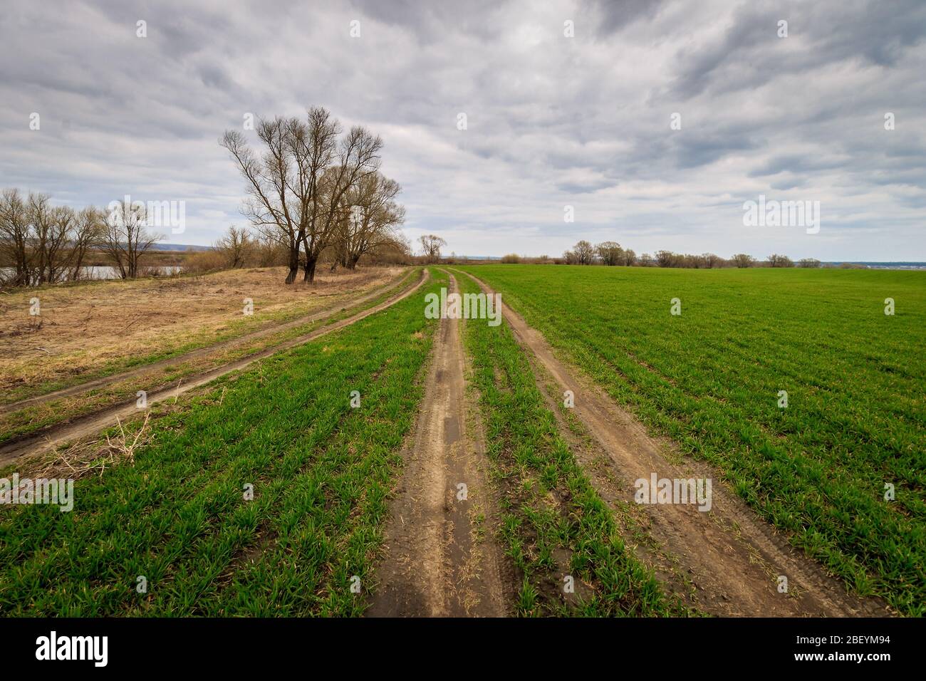 Landscape with first grass in spring field at cloudy day and country ...