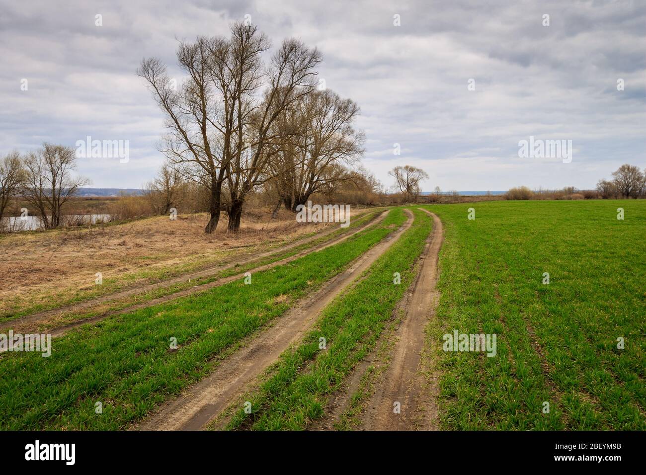 Landscape with first grass in spring field at cloudy day and country ...