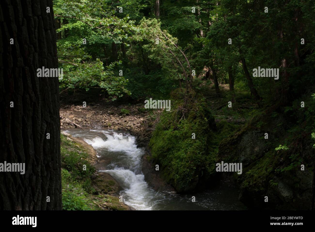 John bryan state park ohio hi-res stock photography and images - Alamy