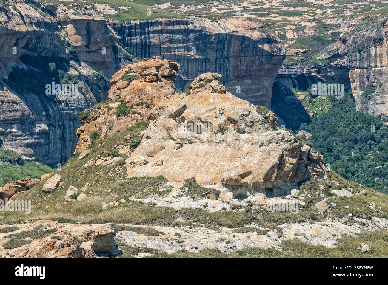Rock formation called horse hi-res stock photography and images - Alamy