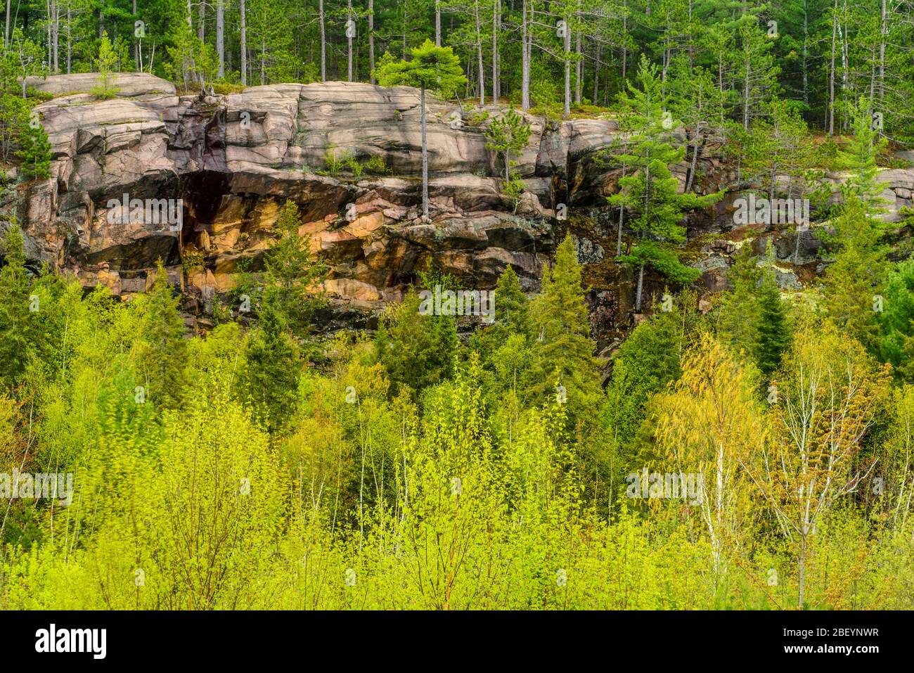Spring foliage at the base of a cliff, Wanup, Ontario, Canada Stock ...