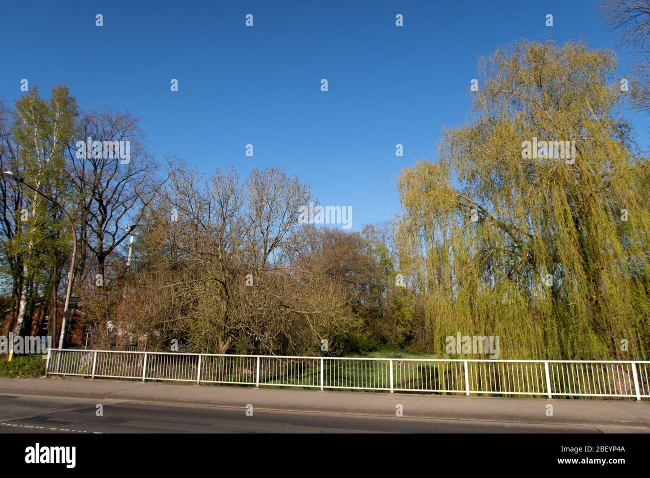 nature and landscape of the forests around meppen and lathen in emsland ...