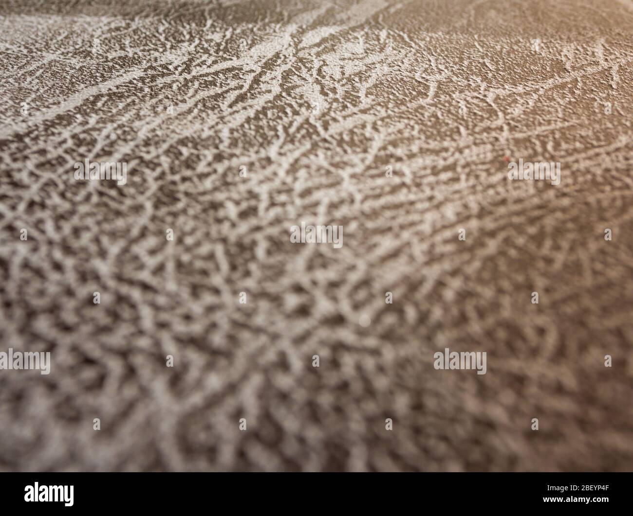 Leather like skin hi-res stock photography and images - Alamy