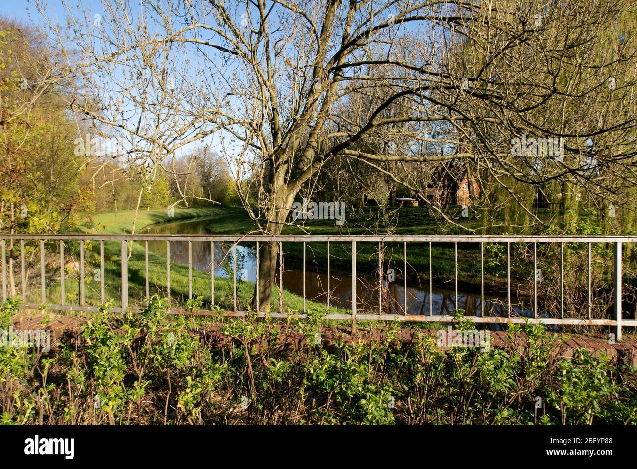 nature and landscape of the forests around meppen and lathen in emsland ...