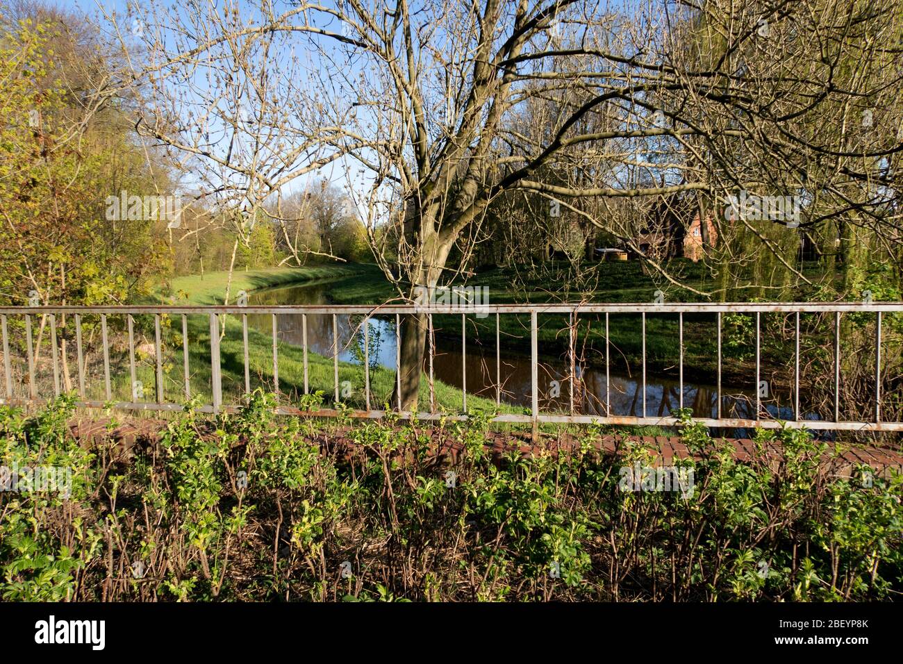 nature and landscape of the forests around meppen and lathen in emsland ...