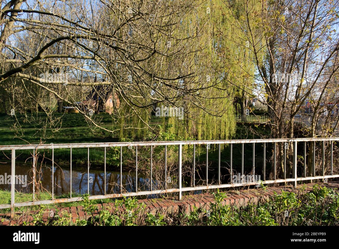 nature and landscape of the forests around meppen and lathen in emsland ...