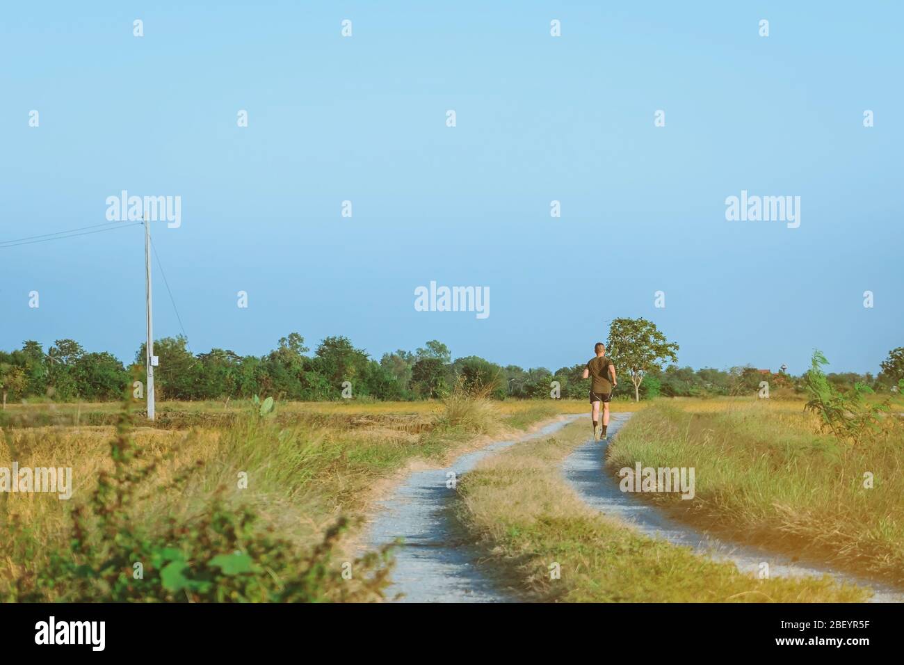 Back view of man running and exercising on the path through the rice ...