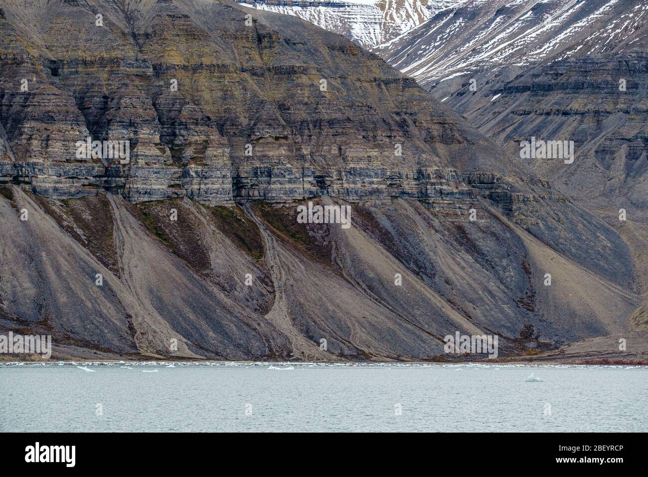 Arctic ecosystem hi-res stock photography and images - Alamy