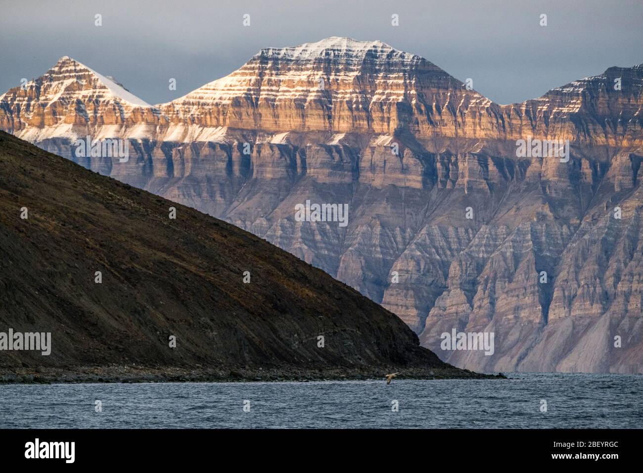 Arctic ecosystem hi-res stock photography and images - Alamy