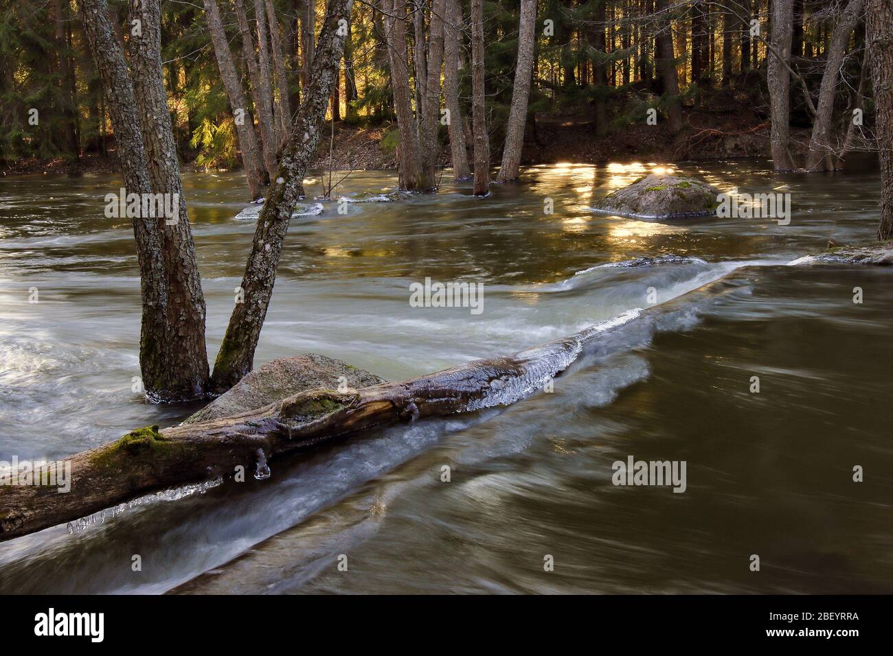 Finland flooding hi-res stock photography and images - Alamy