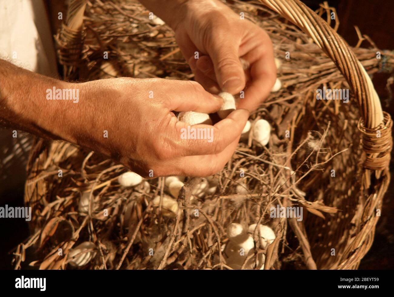 Lavorazione della seta hi-res stock photography and images - Alamy