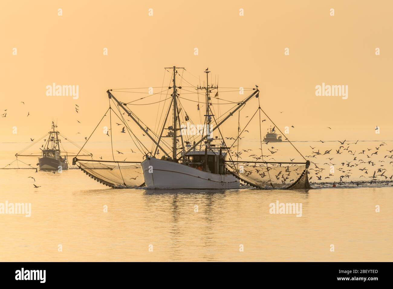 Trawler fishing net with copy space hi-res stock photography and images ...