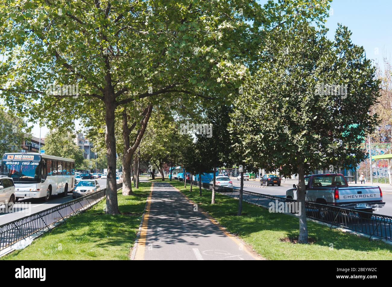 árboles de chile hi-res stock photography and images - Alamy
