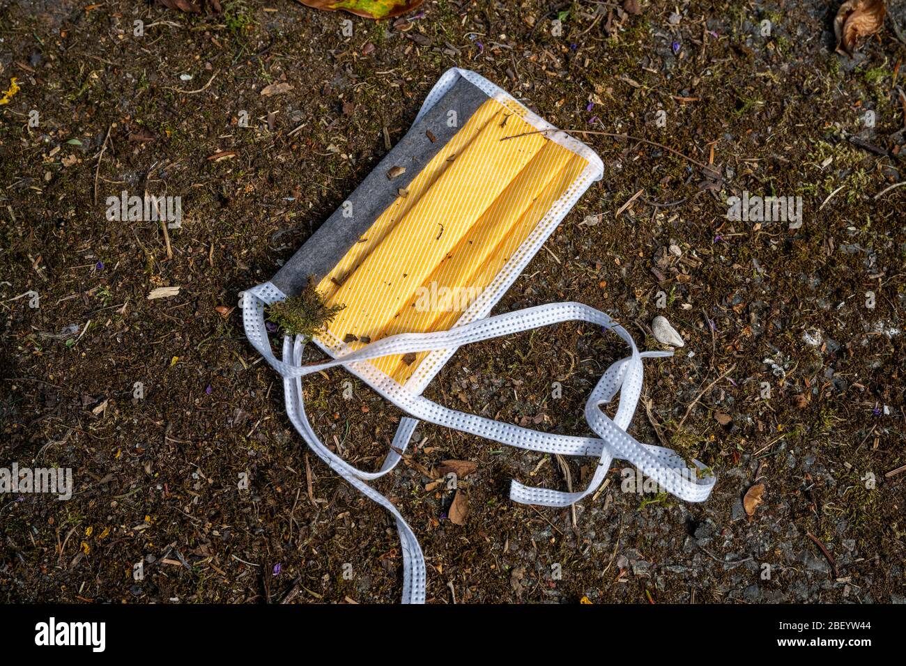 Unused surgical face mask on the floor in the dirt during the Covid-19 ...