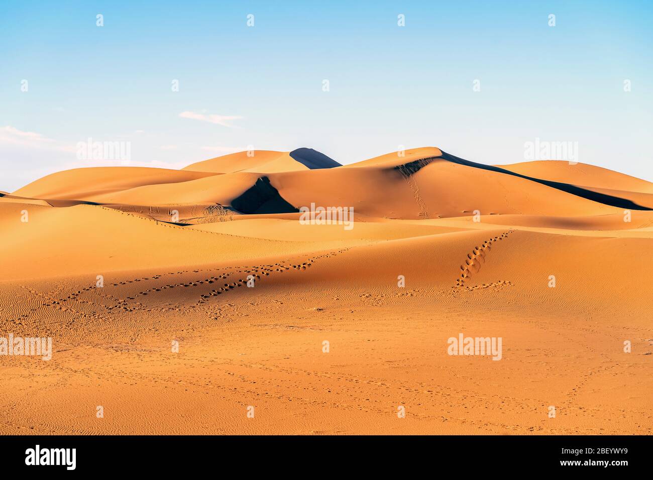 Beautiful landscape of Sahara Desert sand dunes, Morocco, Africa Stock ...