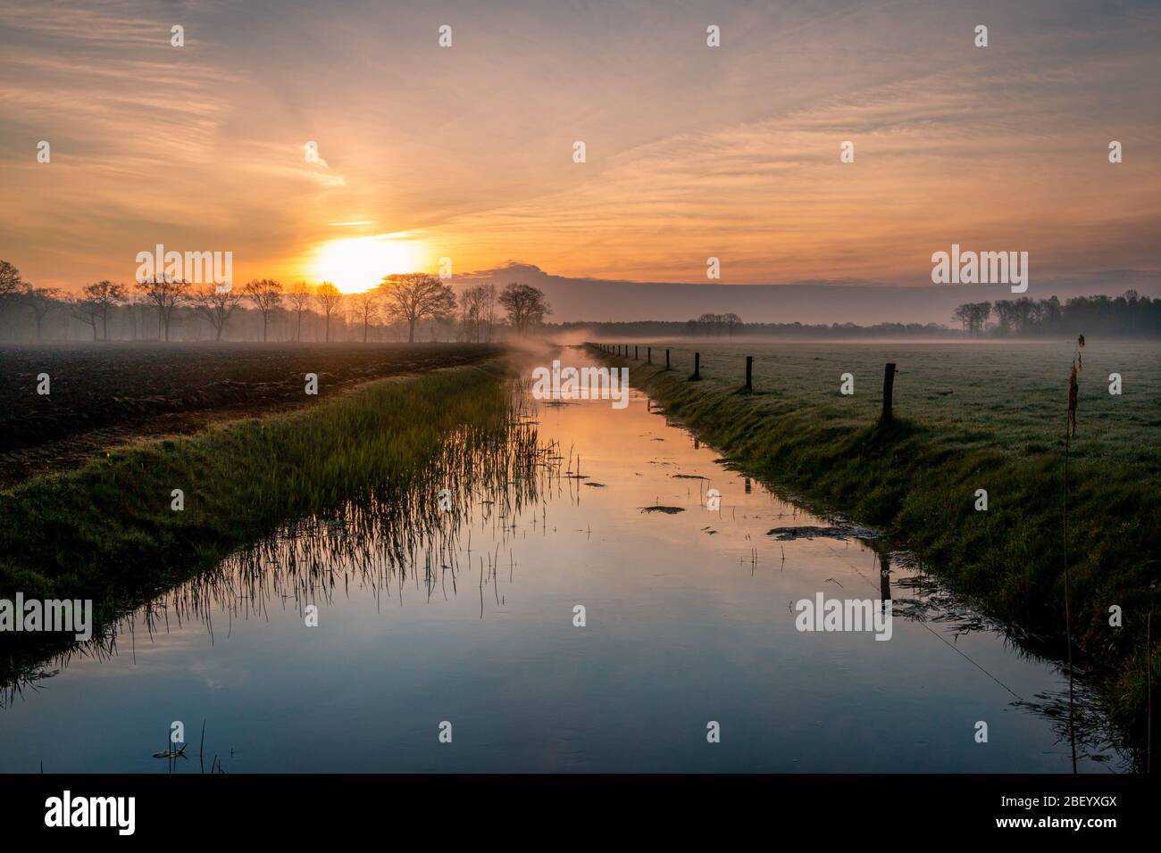 Beautiful sunrise in a typical Dutch landscape with fog, ditches and ...