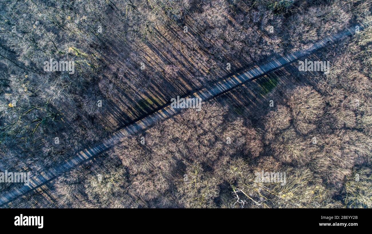 Hiking path through woods hi-res stock photography and images - Alamy