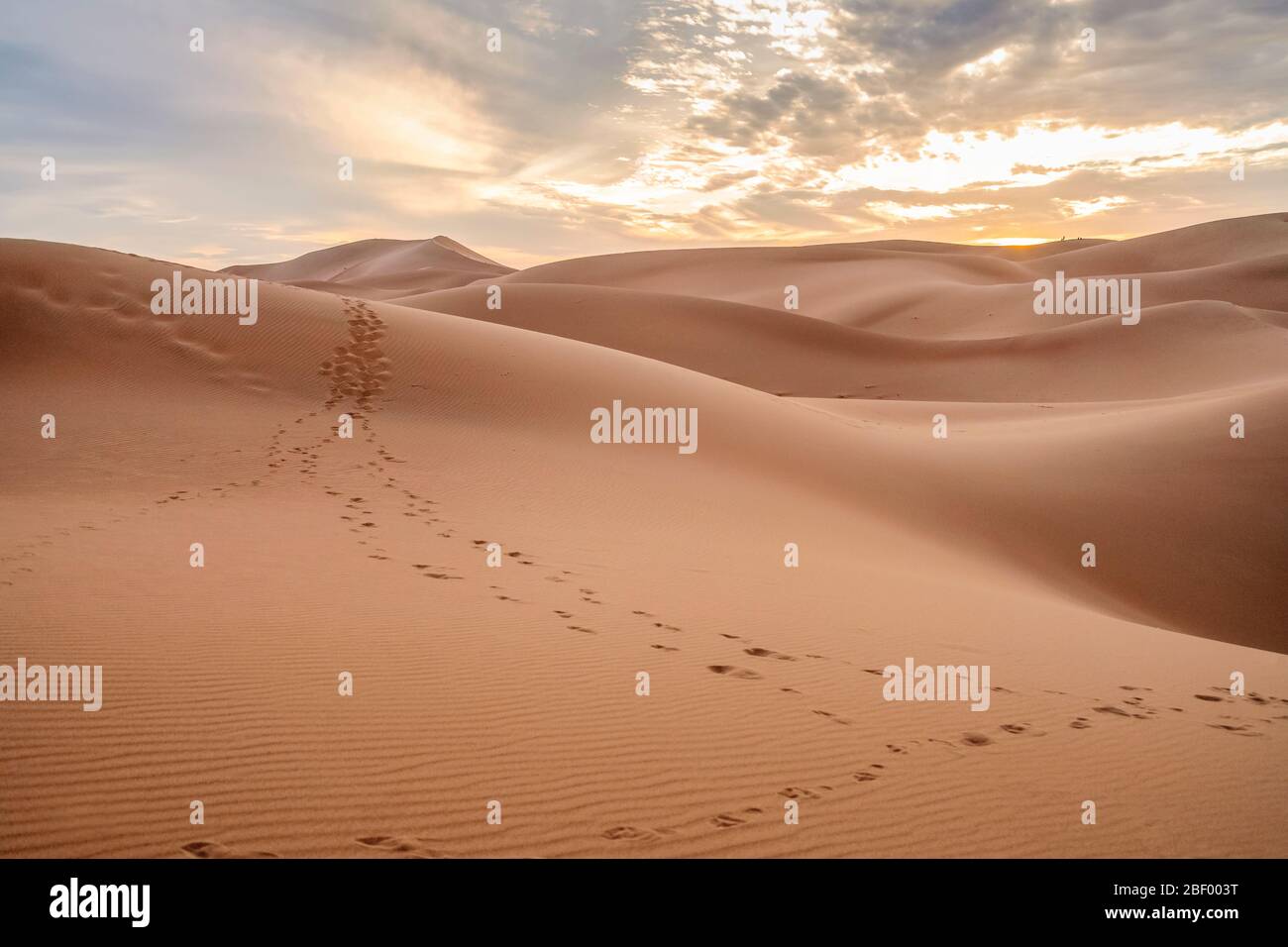 Sahara desert sand dunes sunset hi-res stock photography and images - Alamy