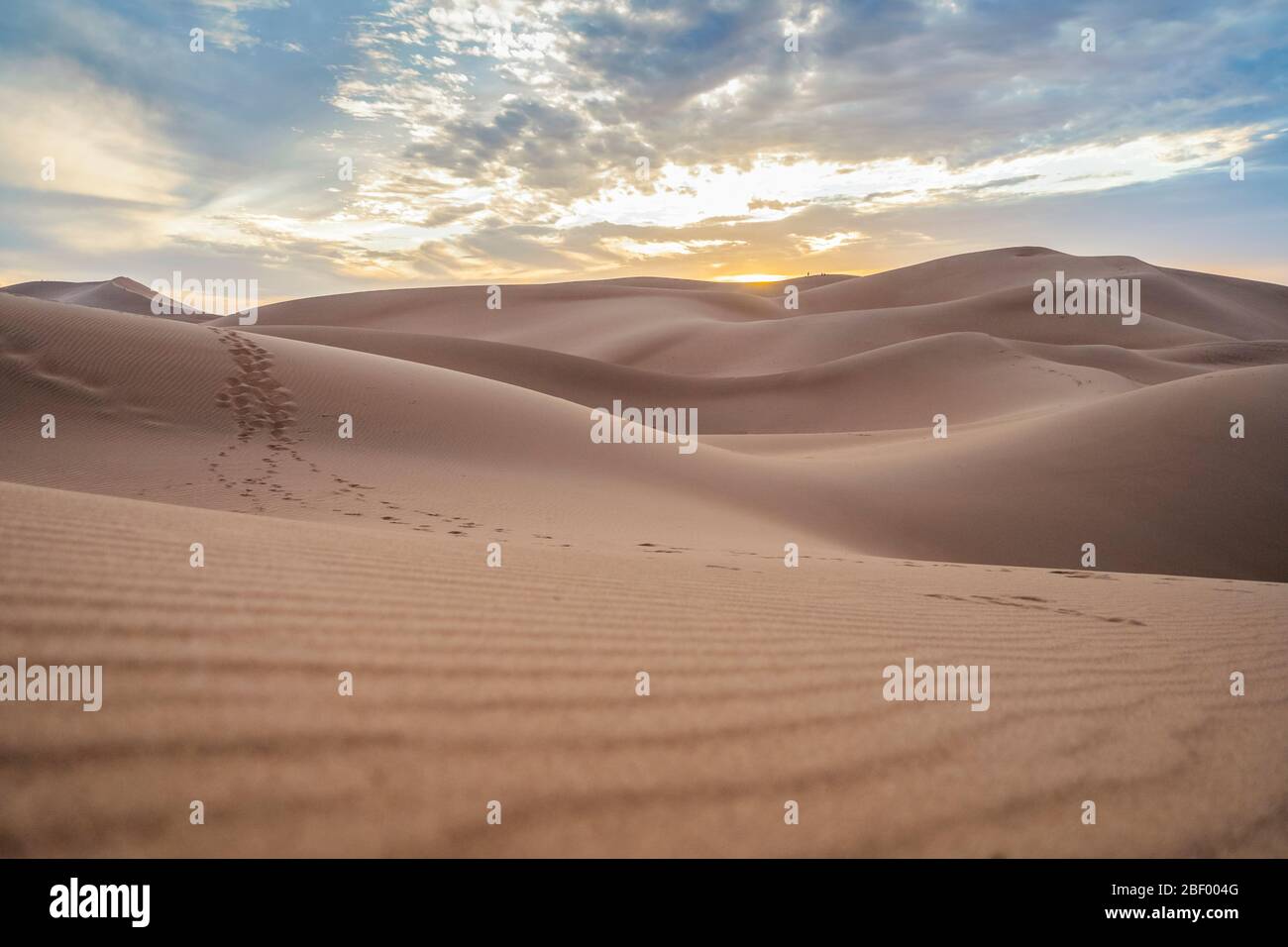 Sahara desert sand dunes sunset hi-res stock photography and images - Alamy