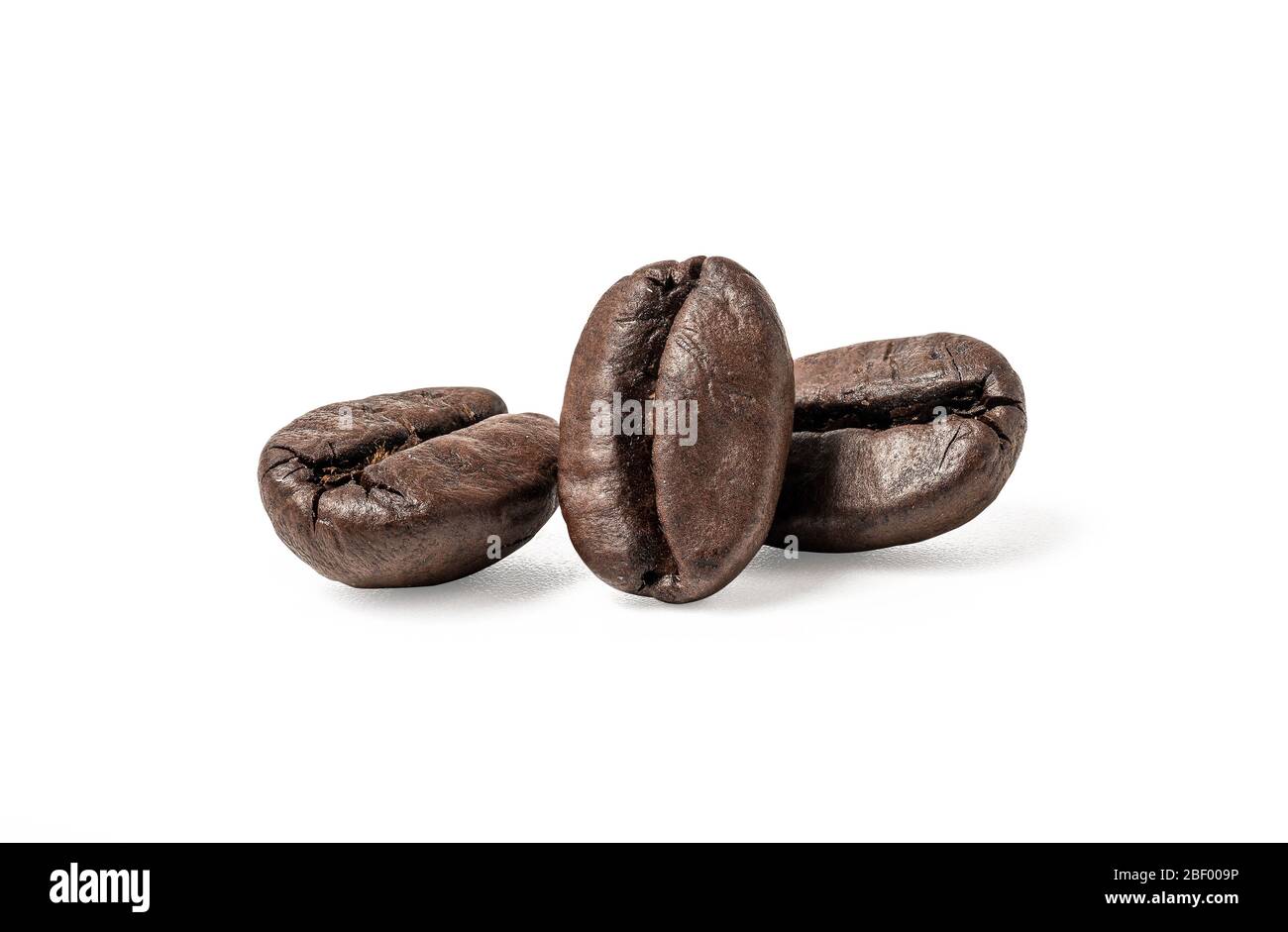 Seed of the coffee plant Cut Out Stock Images & Pictures - Alamy