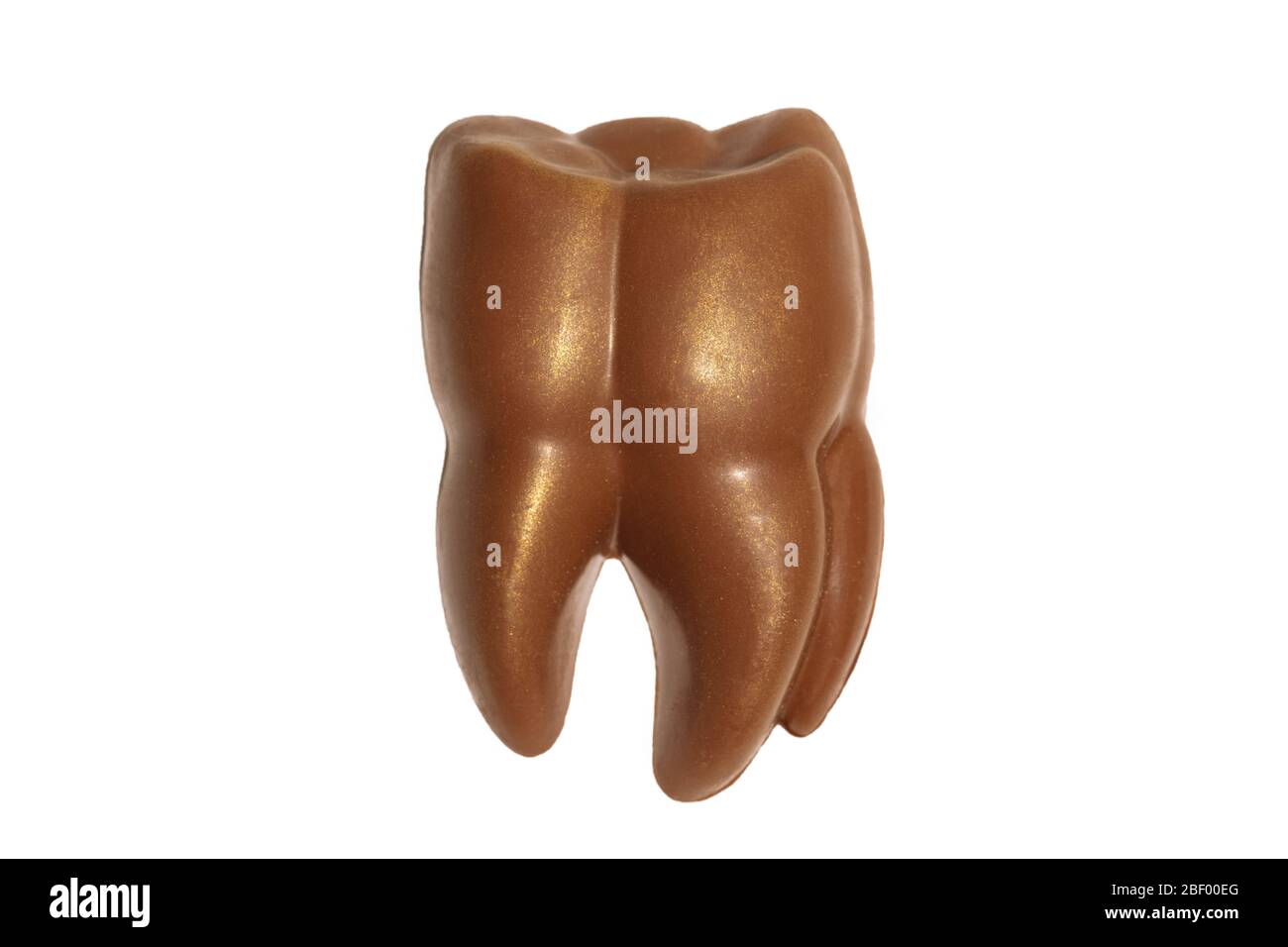 funny brown tooth made of milk chocolate with gold spraying close-up ...