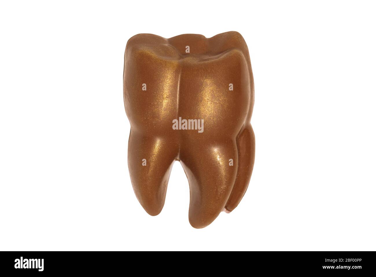 funny brown tooth made of milk chocolate with gold spraying close-up ...