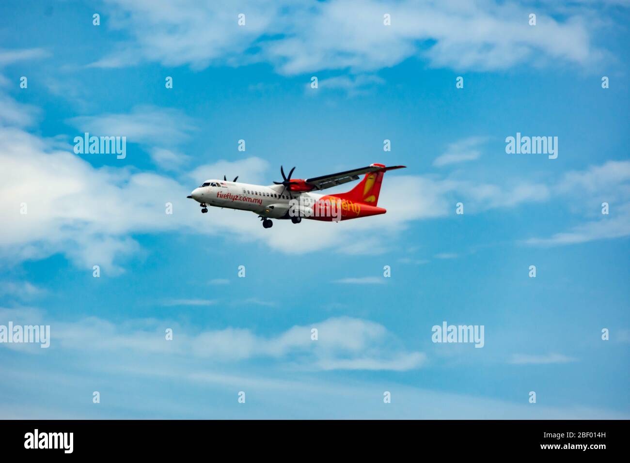 Fireflyz Air Stewardess