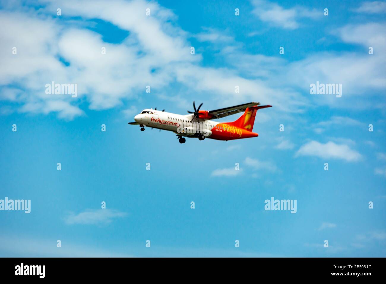 Fireflyz Air Stewardess