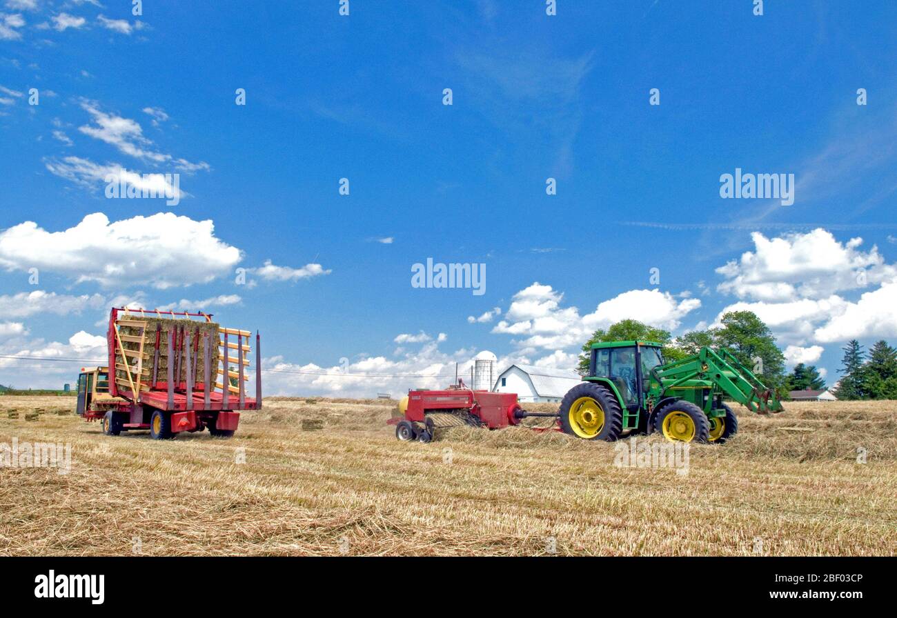 2008 - Baling and collecting hay bales on a family farm using a John ...