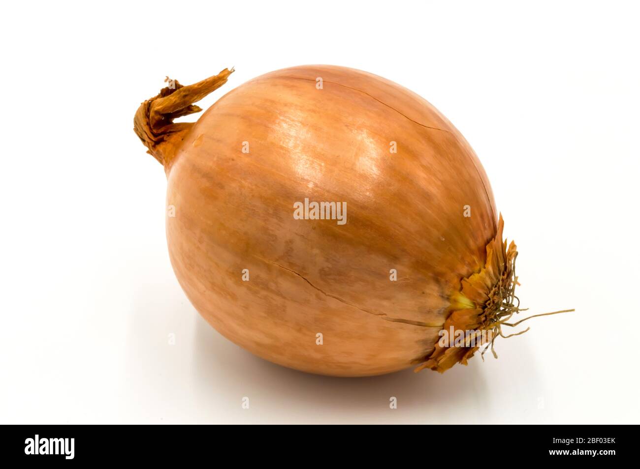 Fresh yellow onion isolated on white background Stock Photo - Alamy