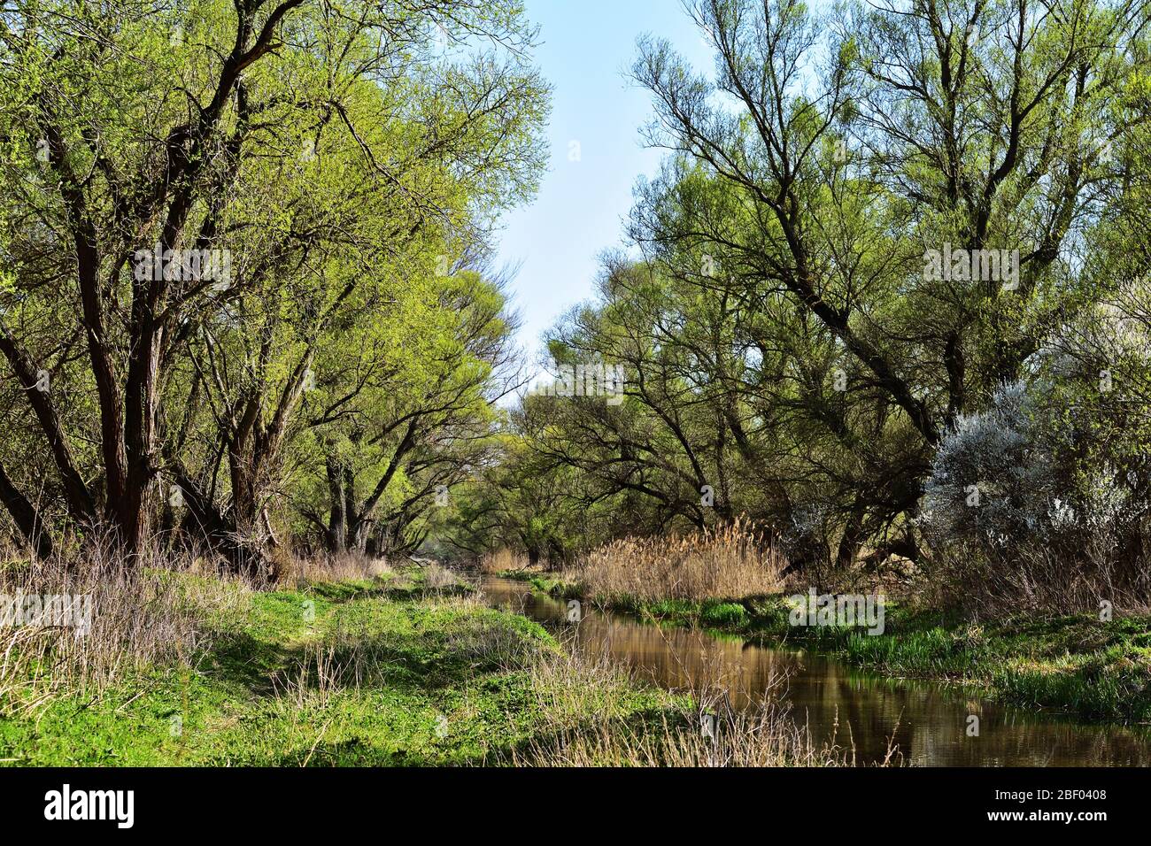 Outdoor spring april nature landscape scenery hi-res stock photography ...
