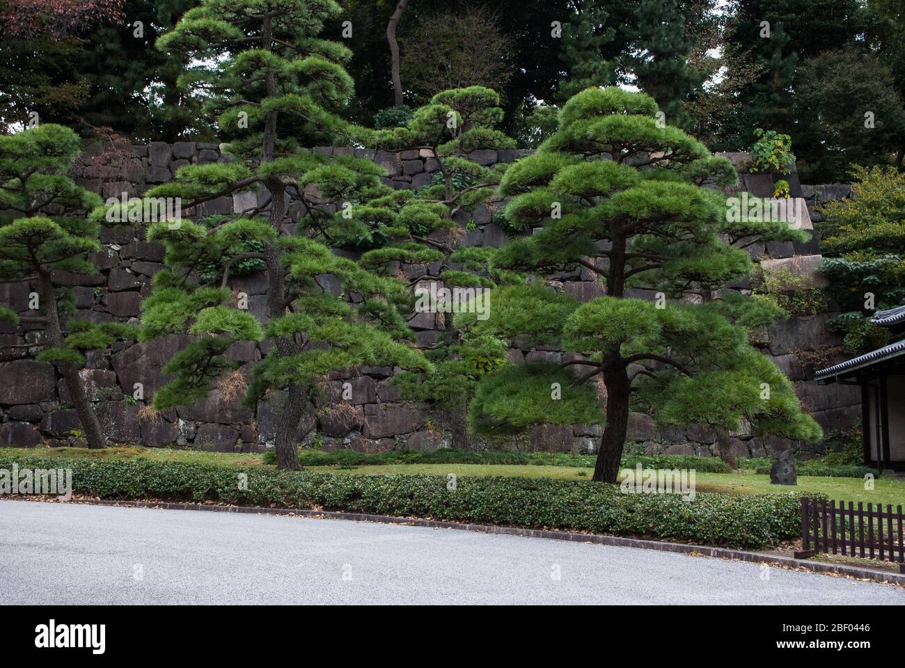 Old Edo Castle Tokyo Imperial Palace, Chiyoda Ward, Tokyo, Japan Stock ...