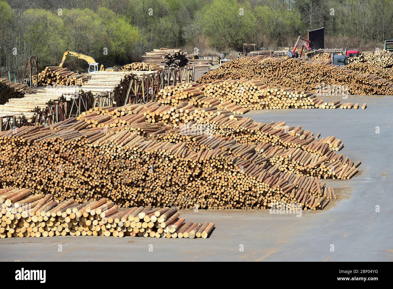 Perina ludek hi-res stock photography and images - Alamy