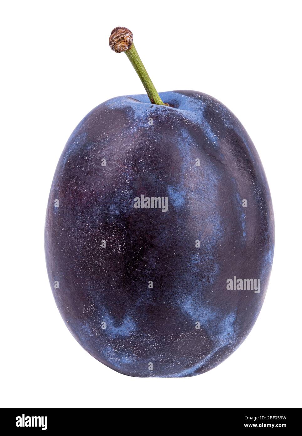 Plum isolated on white background Stock Photo - Alamy