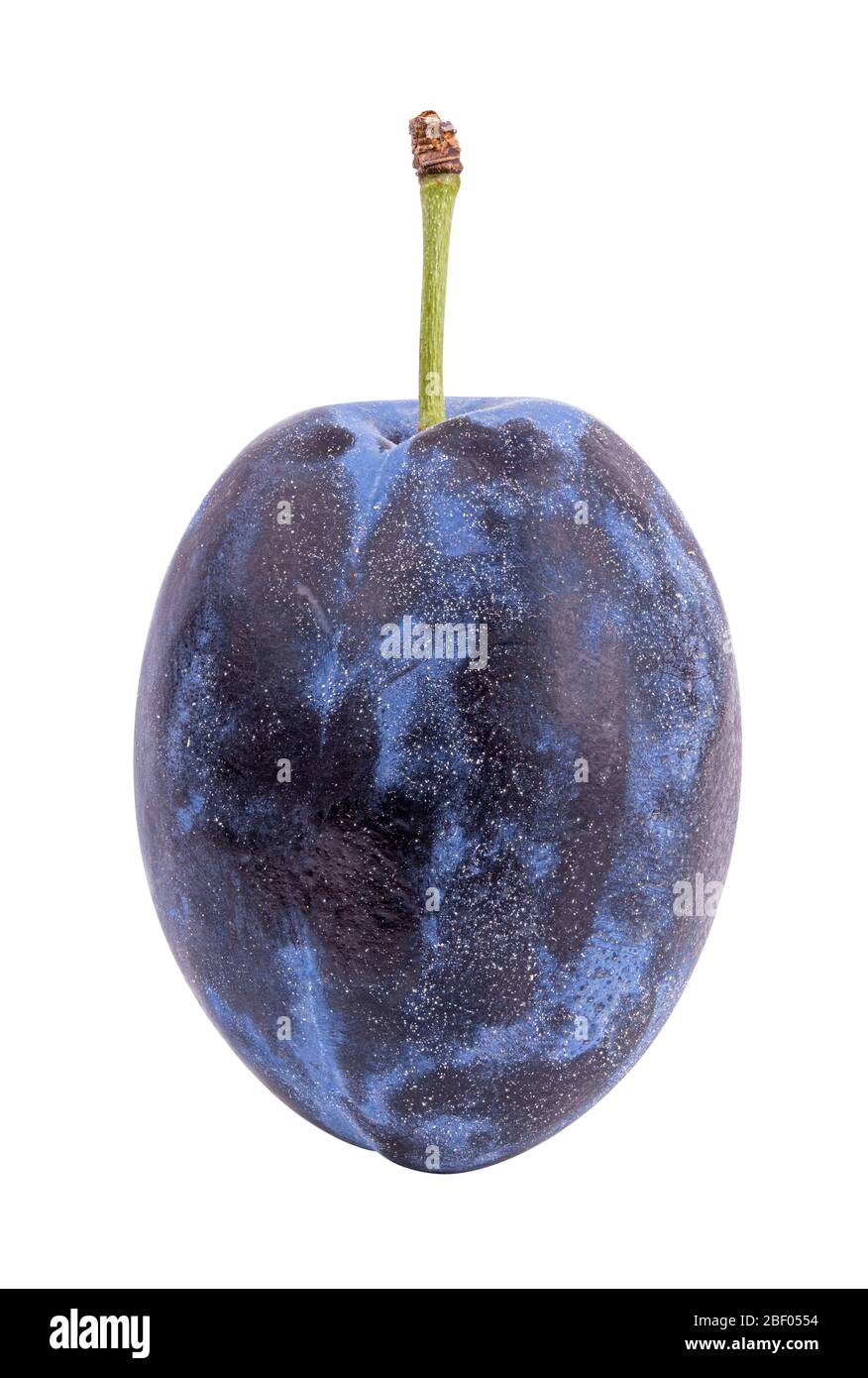 Plum isolated on white background Stock Photo - Alamy