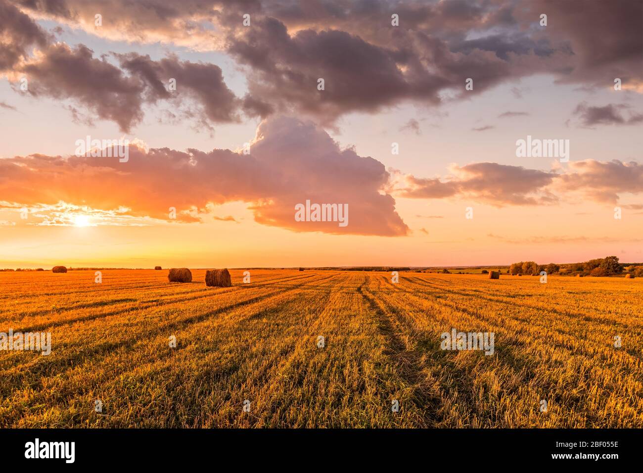 Scene of sunset on the field with haystacks in Autumn season. Rural ...