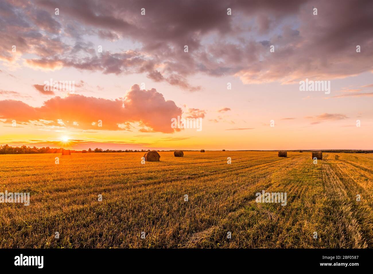 Scene of sunset on the field with haystacks in Autumn season. Rural ...
