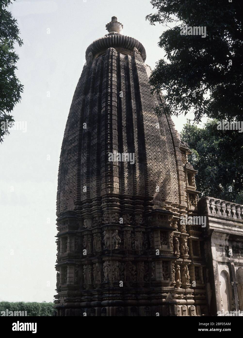 Templo x hi-res stock photography and images - Alamy