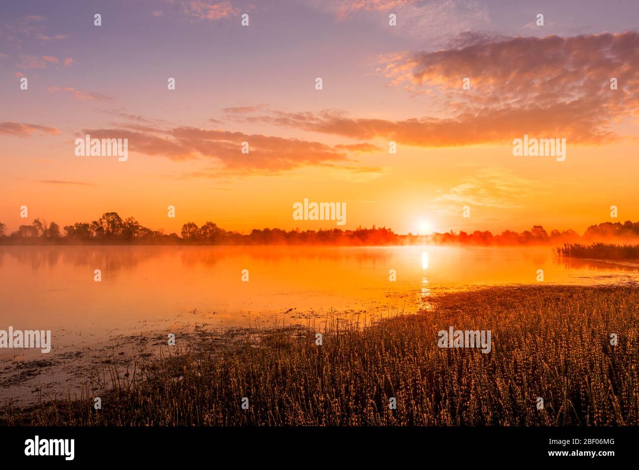 Scenic view of beautiful sunrise or dawn above the pond or lake at ...