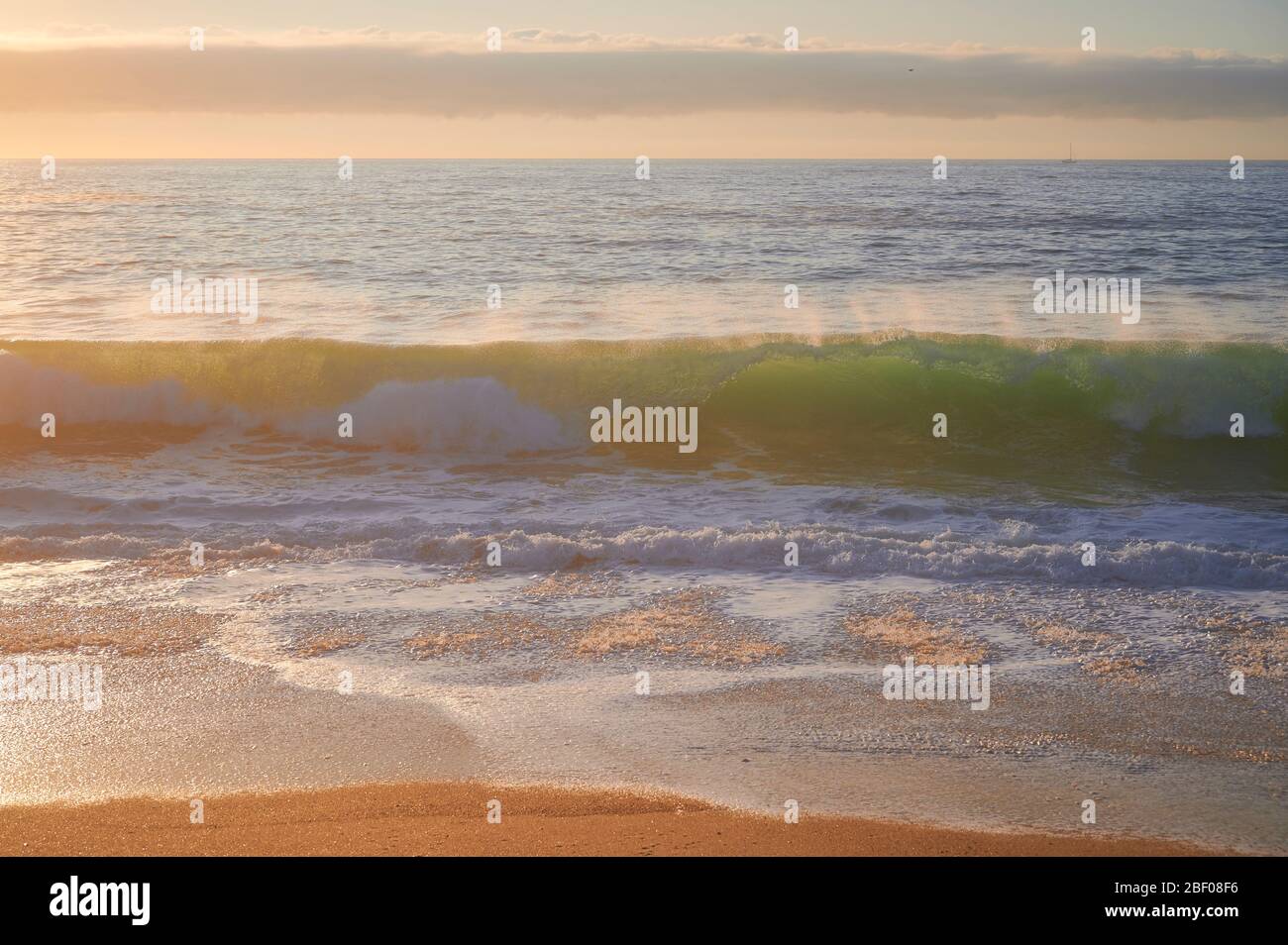 Green waves break at sunset Stock Photo - Alamy