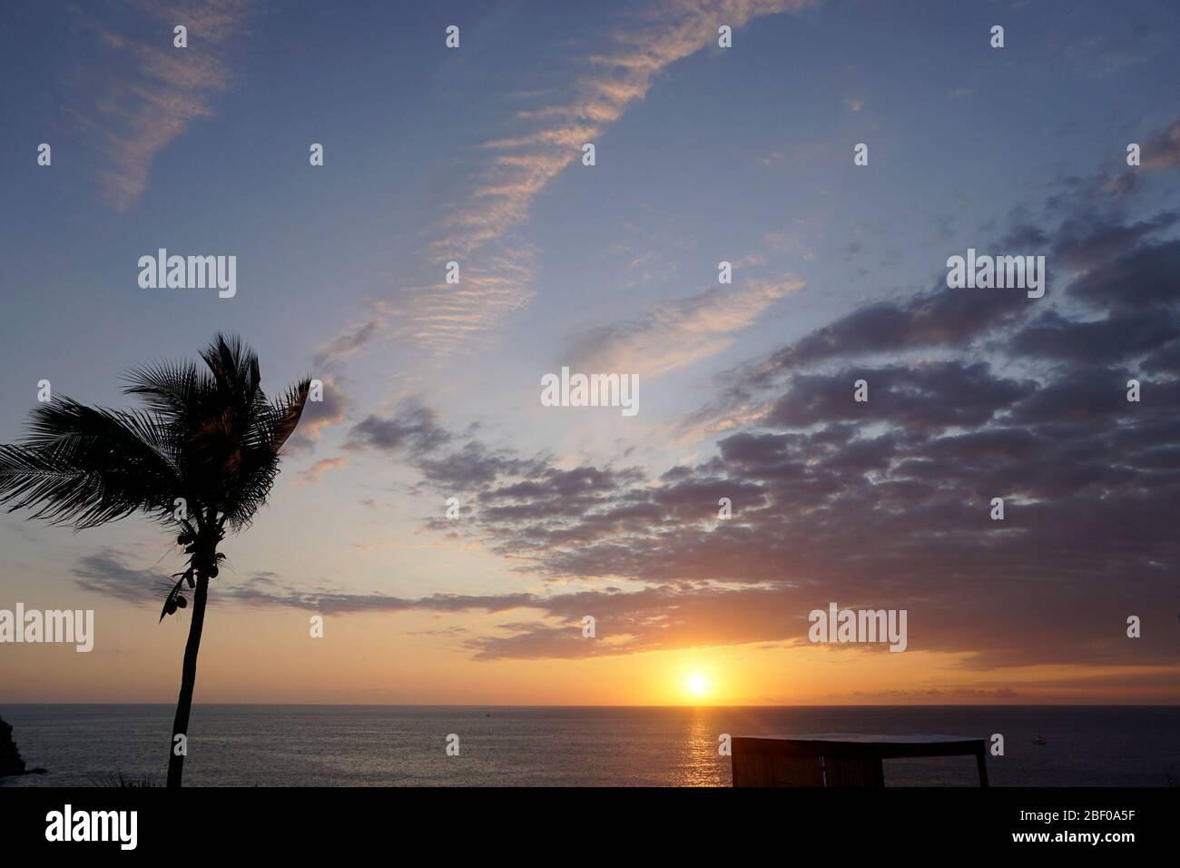 Sunset and Coconut palm tree, Acapulco, Mexico Stock Photo - Alamy