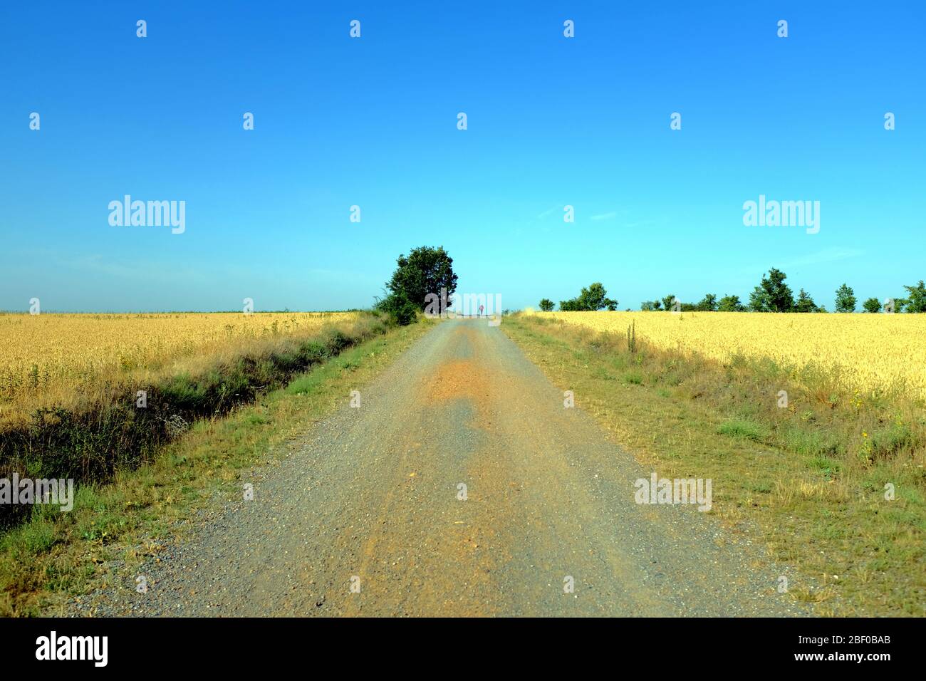 Sky and the straight road Stock Photo - Alamy