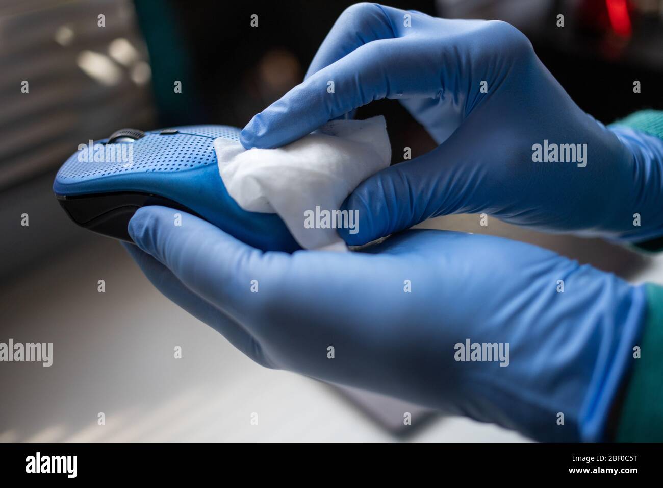Mouse Washing High Resolution Stock Photography and Images - Alamy