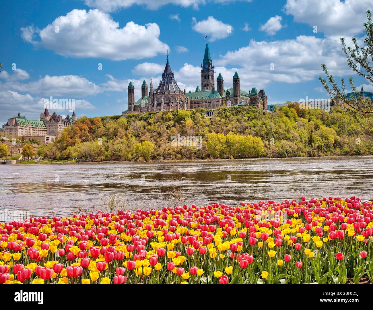 Ottawa Parliament Building and Library with Tulips in the Spring ...