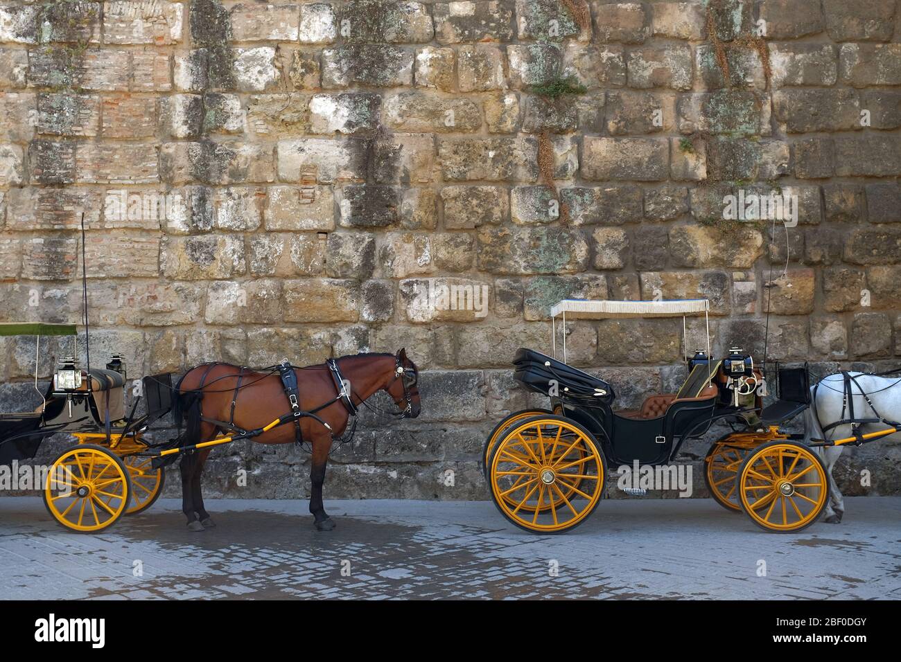 Detail of Spanish touristic carriages and horses waiting in the shade ...