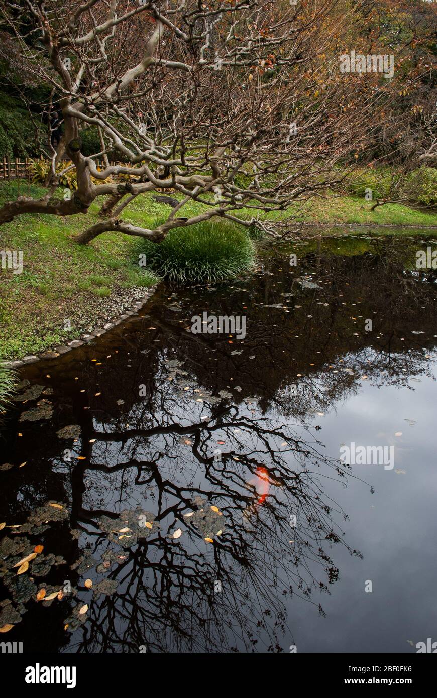 Old Edo Castle Tokyo Imperial Palace, Chiyoda Ward, Tokyo, Japan Stock ...