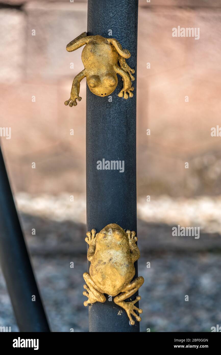 Kanazawa, Ishikawa Prefecture, Japan - August 21, 2018 : Golden Frog on ...